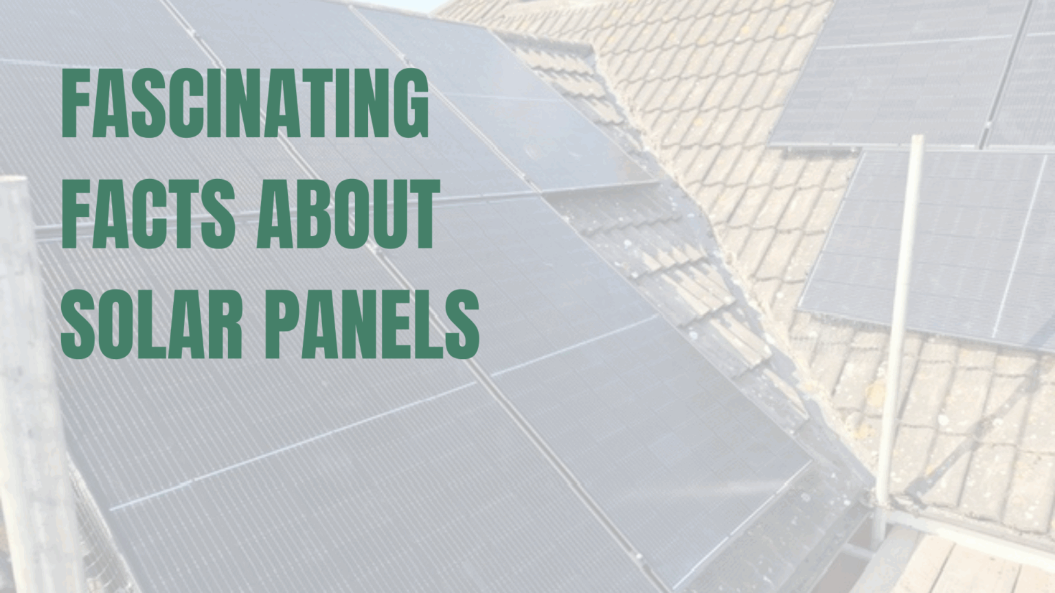 Fascinating Facts About Solar Panels - SolarTherm UK