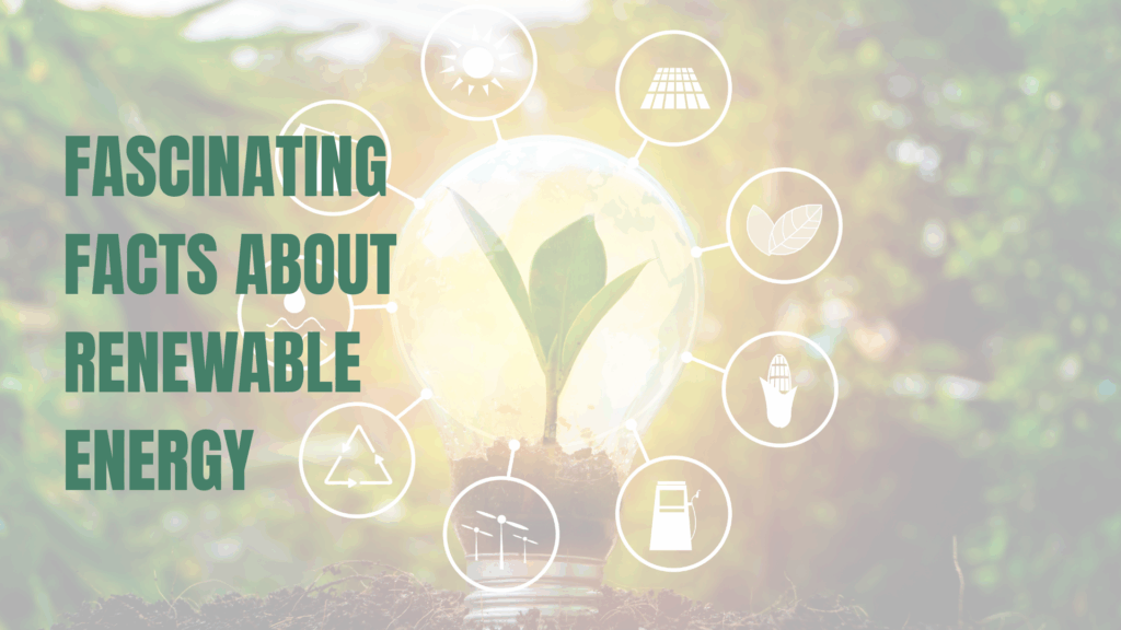 13 Fascinating Renewable Energy Facts - SolarTherm UK
