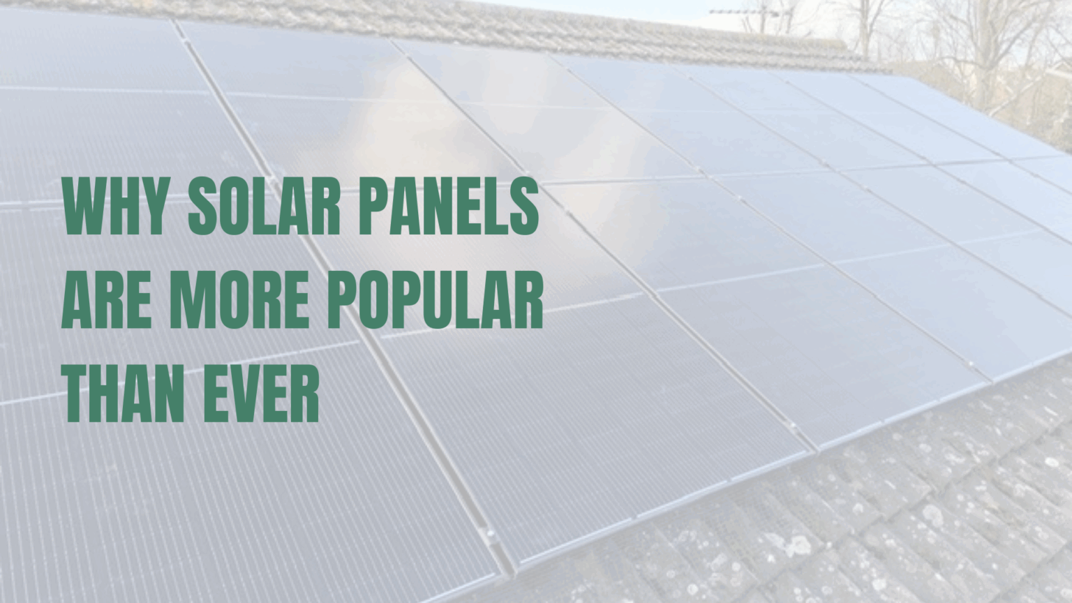 Why Solar Panels Are More Popular Than Ever - SolarTherm UK